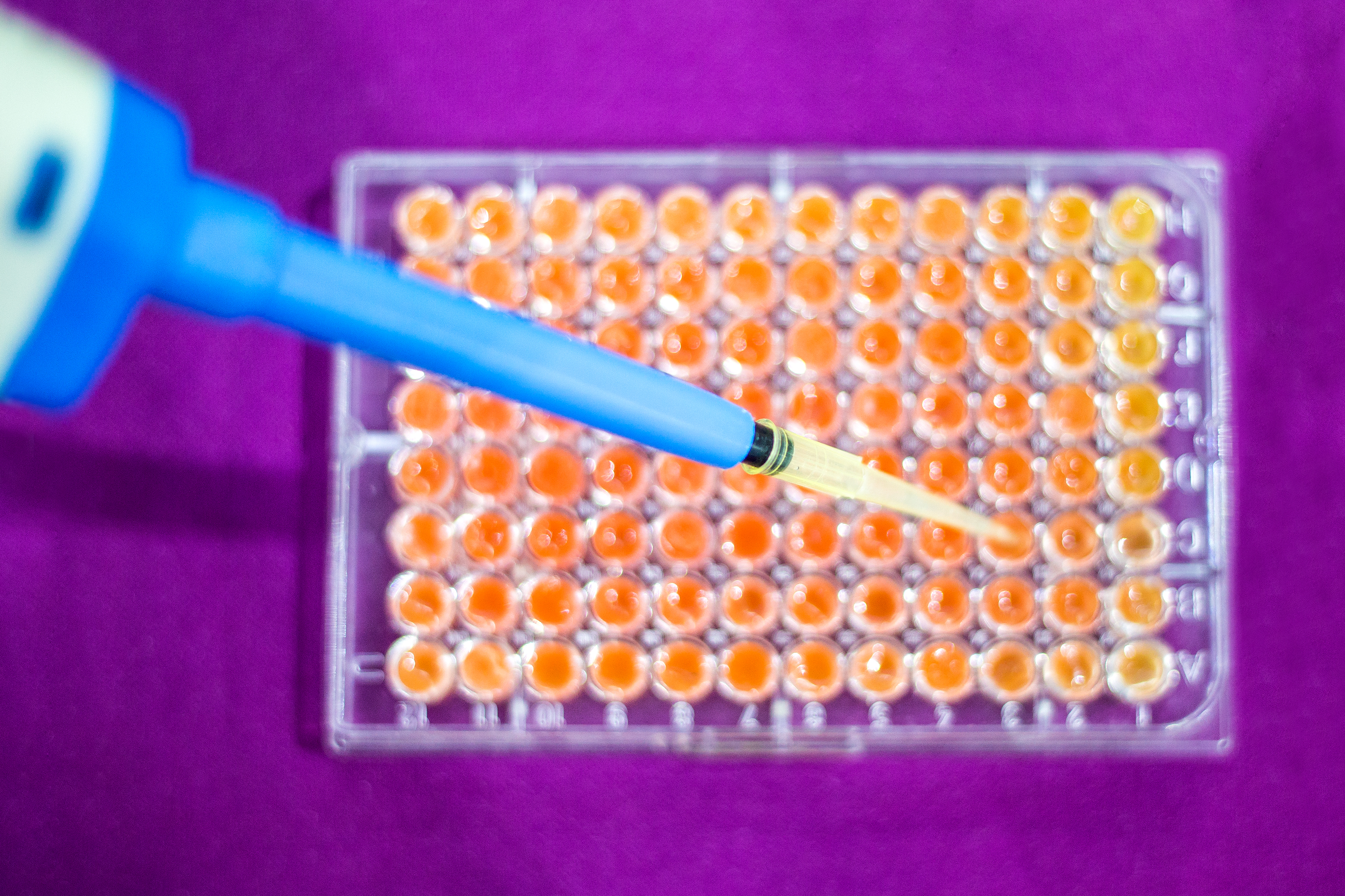 How To Use A Micropipette